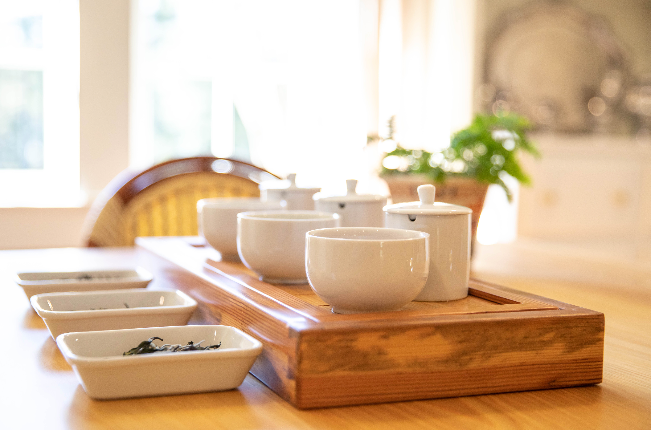 Longleaf Tea Company Tour & Tastings – Laurel Mercantile