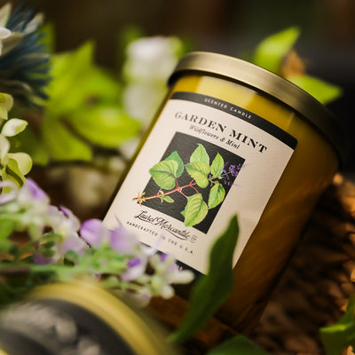 Scent Library – Laurel Mercantile