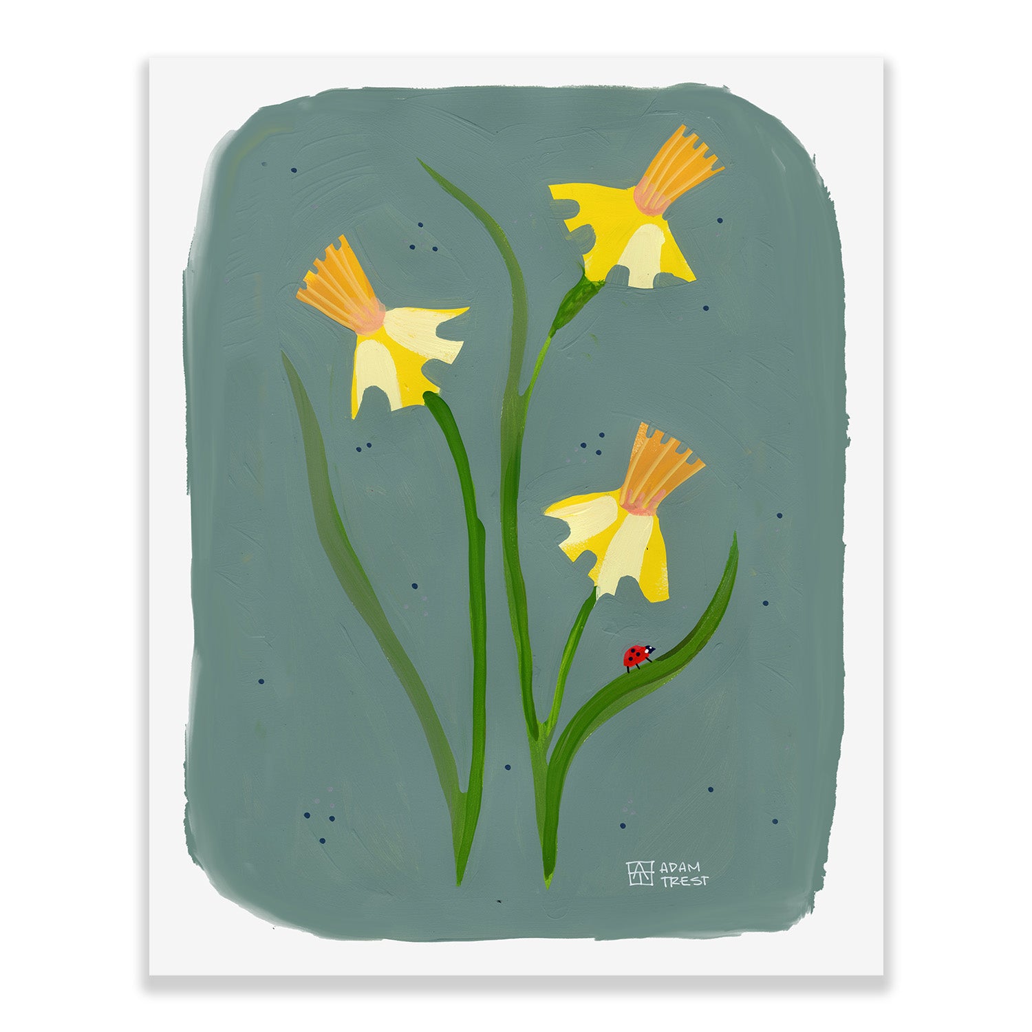 Adam Trest Backyard Bouquet | Jonquils in Blue Print – Laurel Mercantile