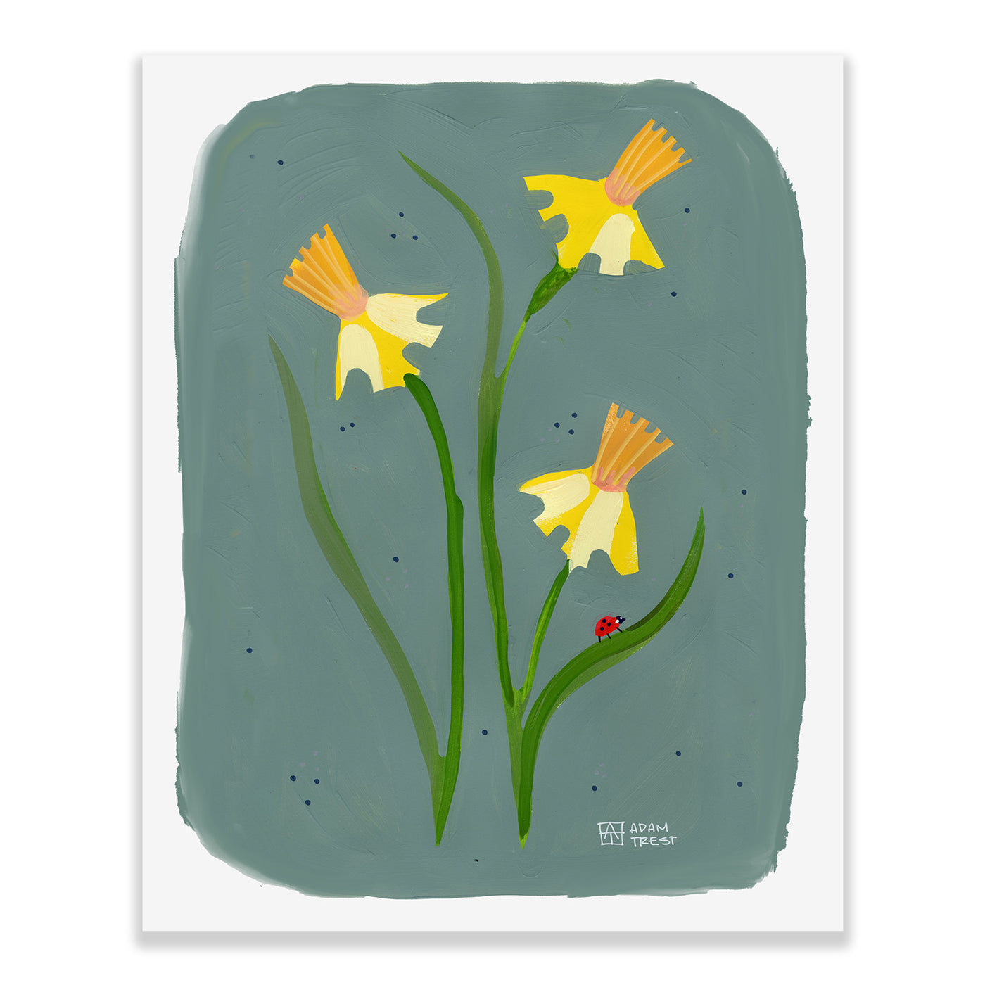 Adam Trest Backyard Bouquet | Jonquils in Blue Print – Laurel Mercantile