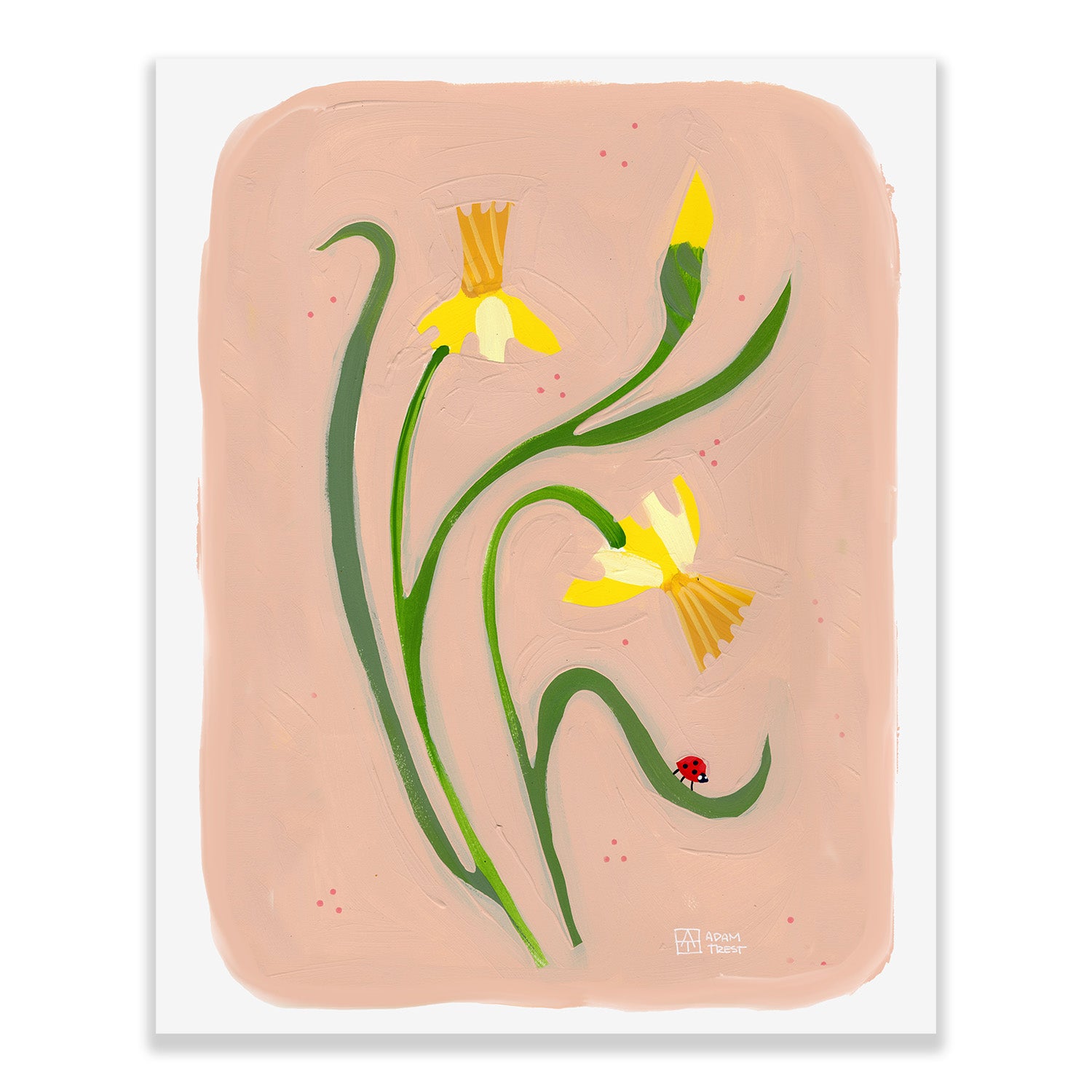 Adam Trest Backyard Bouquet | Jonquils in Pink Print – Laurel Mercantile